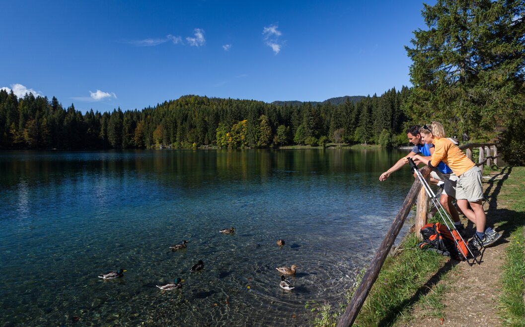 Offer "Alpe Adria Trail: 3 days